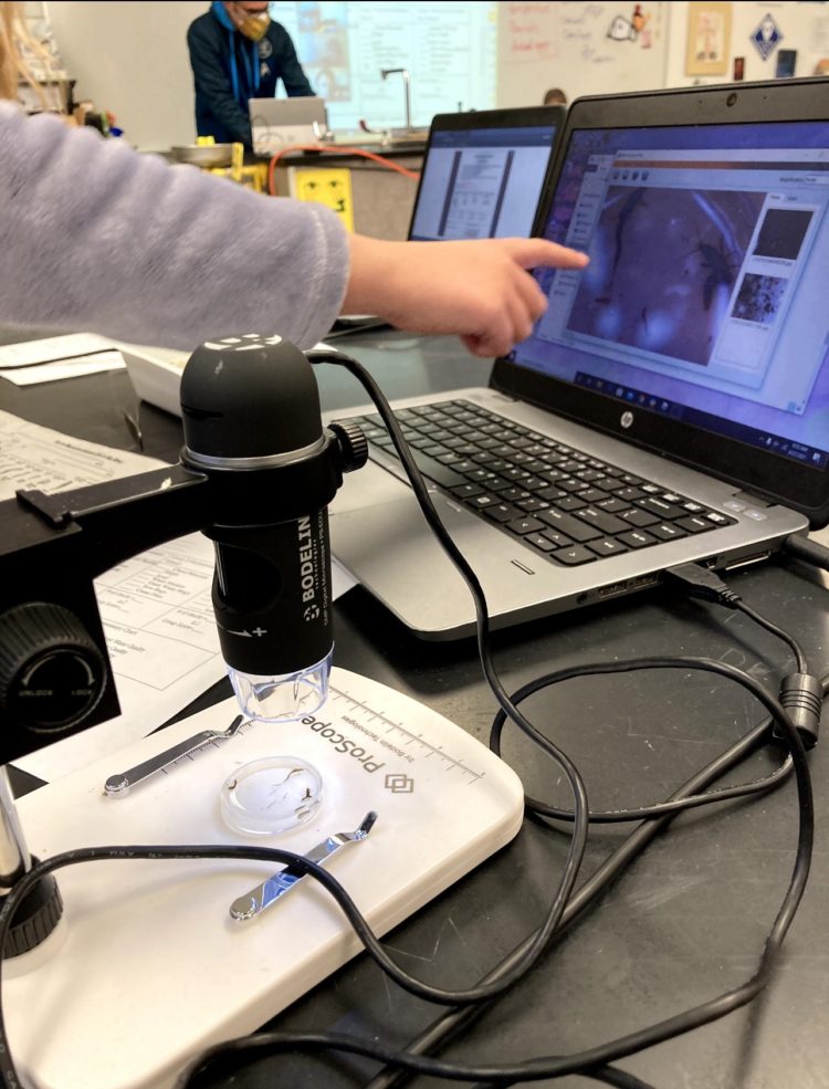 Macro Identification | Mr. Gonzalez's Classroom